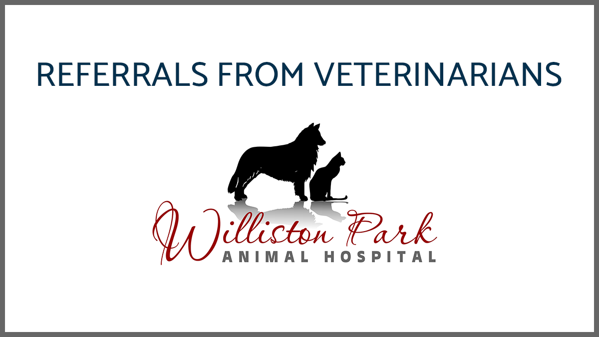 DVM Referrals - Williston Park Animal Hospital